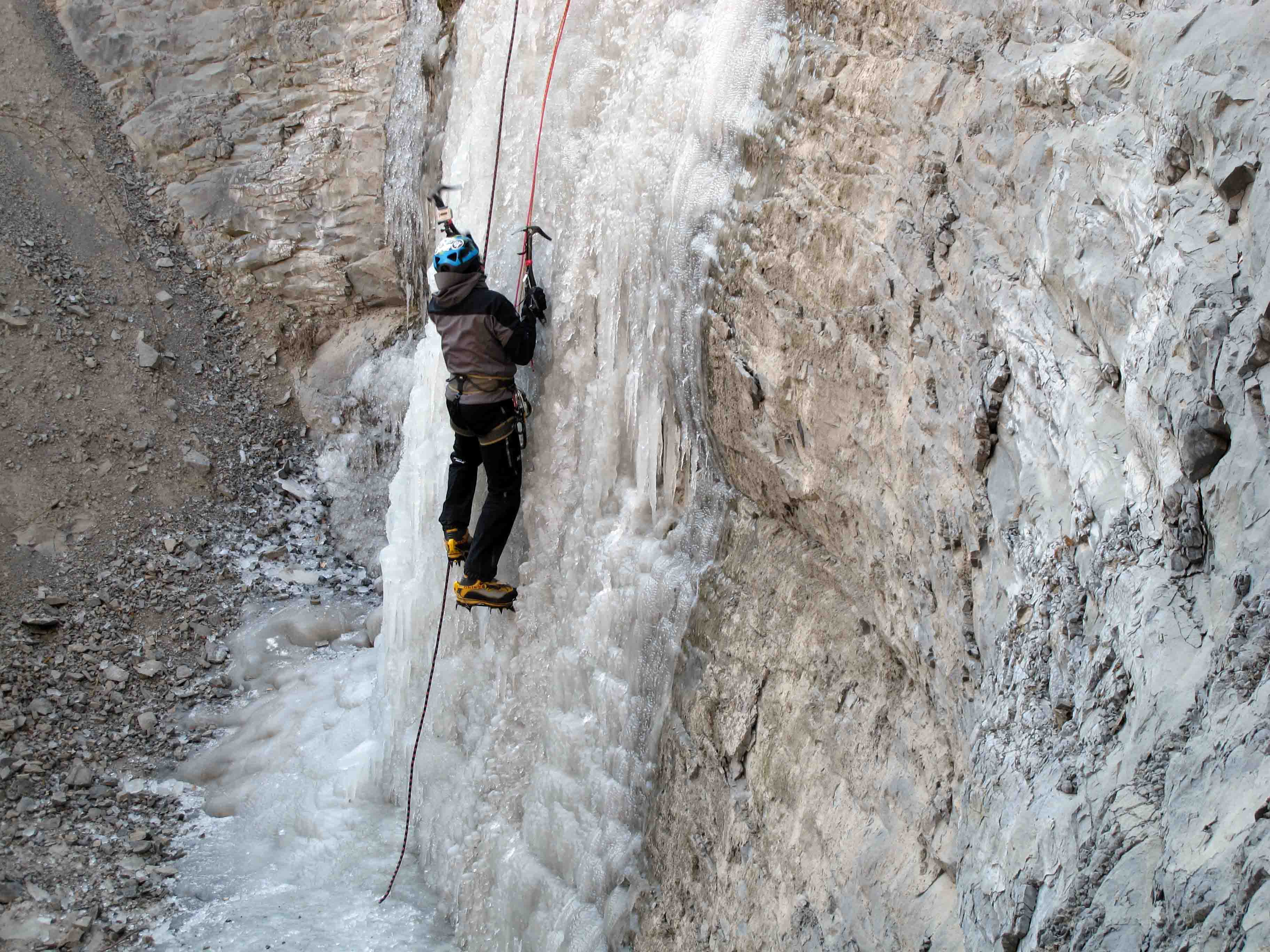 Alpine zone by MB Fossil Crabs