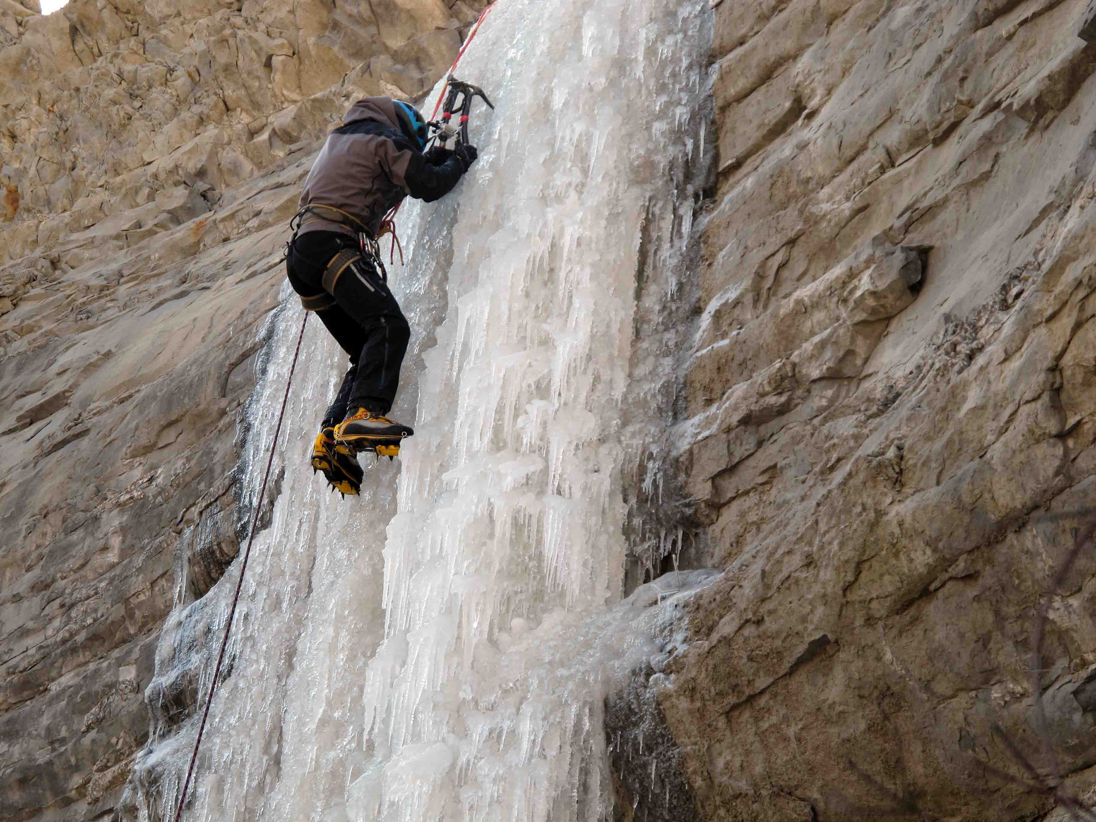 Alpine zone by MB Fossil Crabs